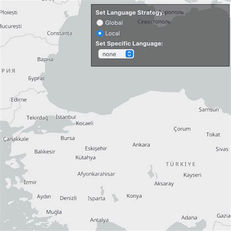 Configure Basemap Style Language Arcgis Maps Sdk For Qt Esri Developer