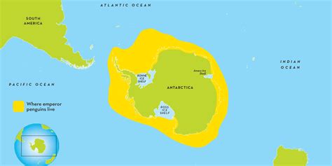 Emperor Penguin Map