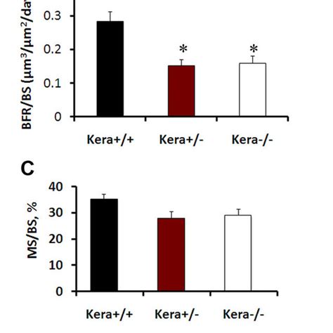 Dynamic Histomorphometric Analysis Of Kera −− Mice Download