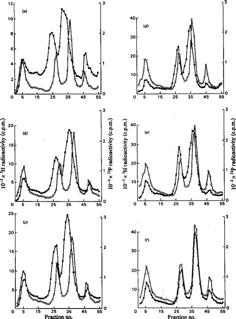Figure 3 From Abnormal Ribosome Assembly In A Mutant Of Escherichia Coli Semantic Scholar
