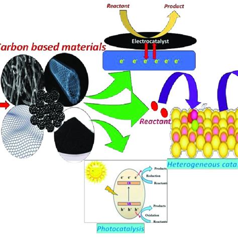 Graphical Illustration Of Various Biomass Derived Materials In Download Scientific Diagram