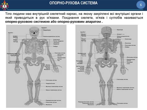 Загальні принципи надання домедичної допомоги Основи домедичної допомоги презентация онлайн