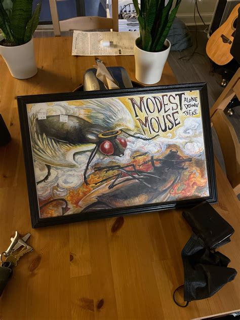 2354 best r modestmouse images on pholder apologies in advance