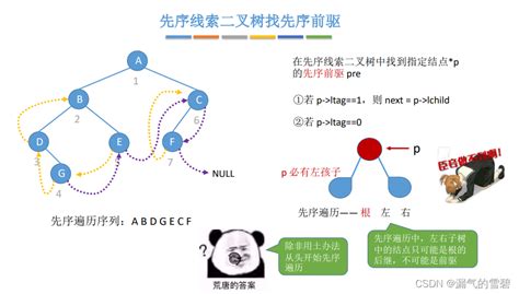王道数据结构课代表 考研数据结构 第五章 树和二叉树 究极精华总结笔记 csdn博客