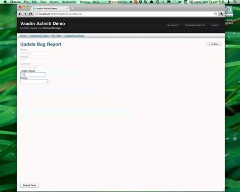Vaadin Activiti Demo Application Screencast Youtube