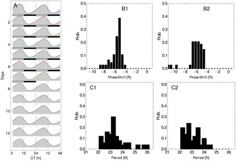 Synchronization For Interacting Clock Neurons Actogram And