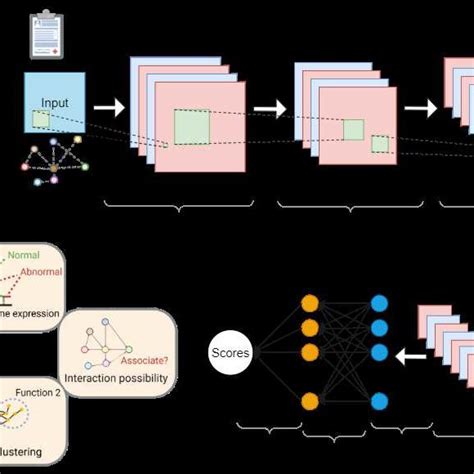 A Convolutional Neural Network This Neural Network Is Comprised Of An Download Scientific