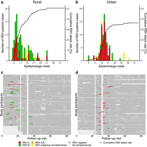 Epidemic Curve And Results Of Real Time Reverse Transcription