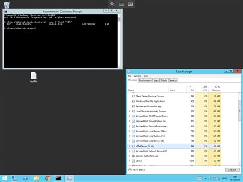 Finding Port Information With Netstat Ans Documentation