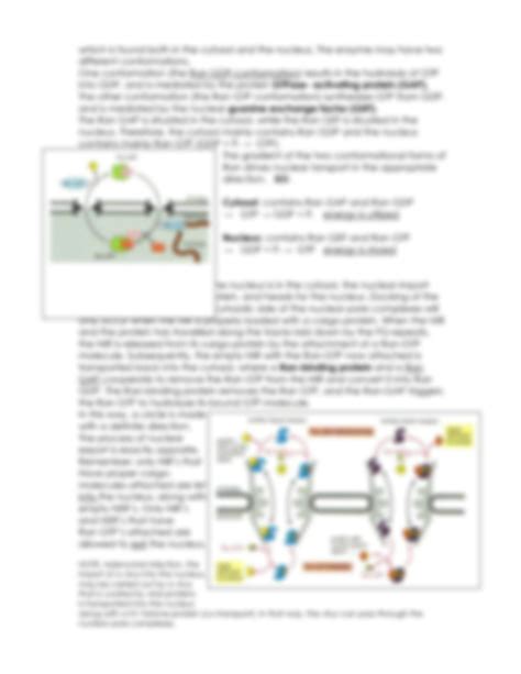 SOLUTION Structure And Function Of The Cell Nucleus Comprehensive Notes On Nucleus Anatomy