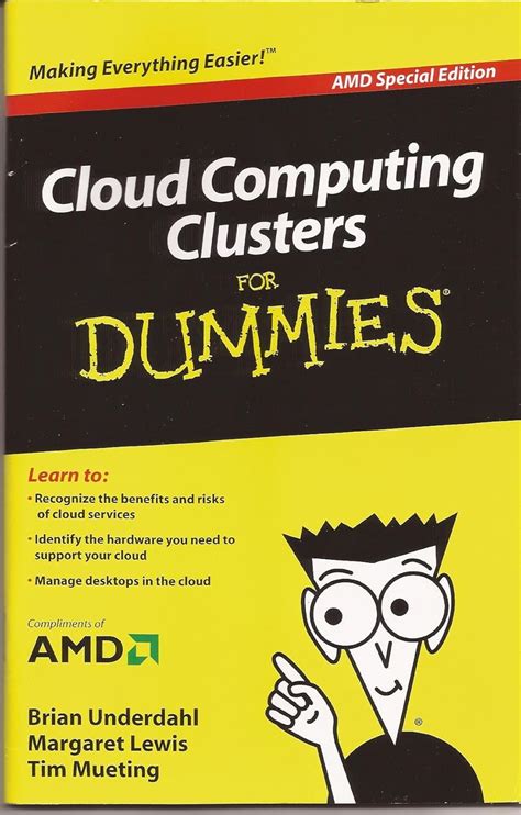 Cloud Computing Clusters For Dummies Amazon De Bücher