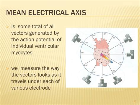 Ppt Electrocardiogram Ecg Powerpoint Presentation Free Download