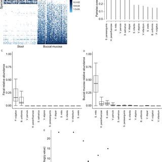Overlap Of Clade Specific Marker Genes Between Fecal And Oral
