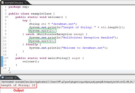 Java Finally Block Explained With Examples