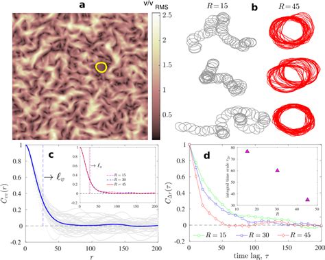 Representative Figure A Absolute Velocity Field In The Active
