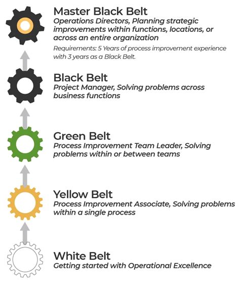 What Is A Lean Six Sigma Black Belt Moresteam