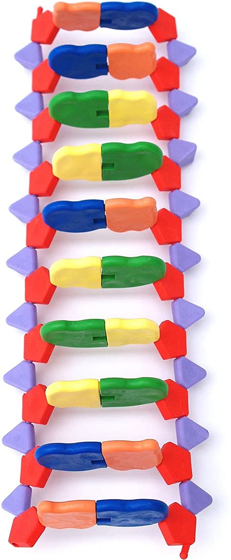 Dna Model Advanced Minidna 12 Layer Base Pair Model Kit Bigamart