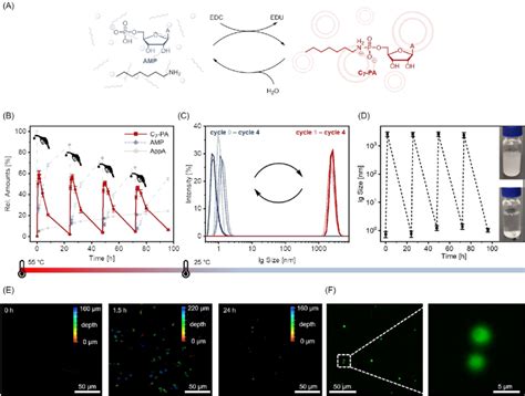 Transient Self Assembly Of Compartments A Reaction Scheme Of The