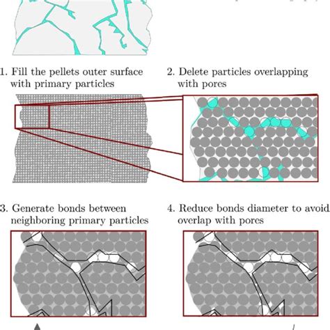 Schematic Visualization Of A Bonded Particle Model As Voxel