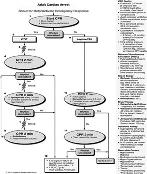 Amiodarone Dose In Acls