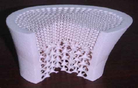 Bone Scaffold Fabricated By 3d Printing Download Scientific Diagram