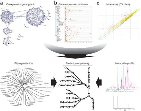 an overview of the experimental and bioinformatic based procedure for