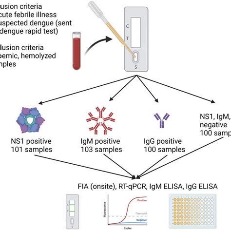 Flowchart Of Sample Collection Categorization And Series Of