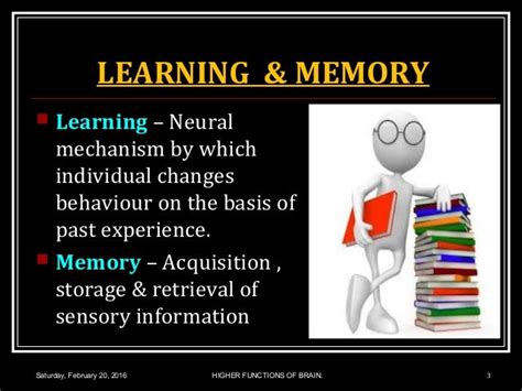 learning memory
