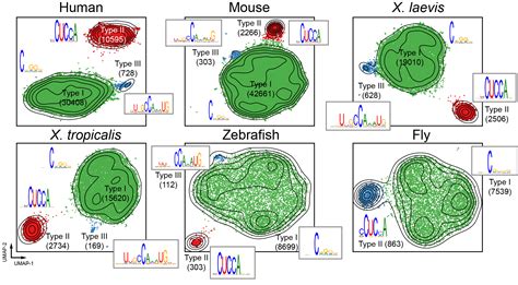 Gallery — Imvp Utils 010 Documentation