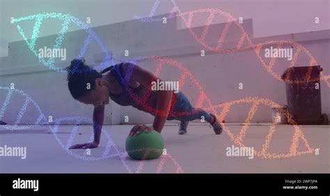 Image Of Dna Strands Spinning Over Woman Doing Press Ups Exercising With Ball In Gym Stock