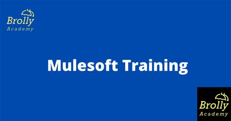 mulesoft training in hyderabad best online course 2024