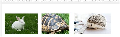 How To Change Pictures To Be The Same Size Vegaslide
