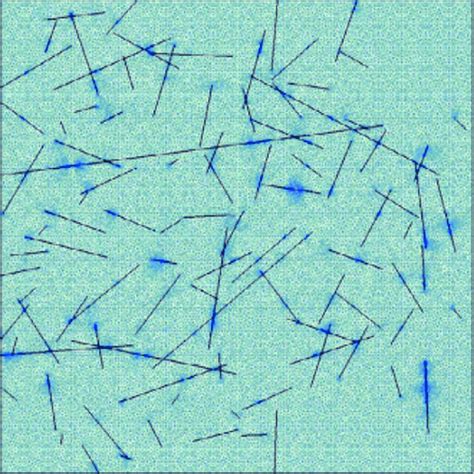 The Schematic Diagram Of Complex Fracture Networks Of Vasilyeva Et Al