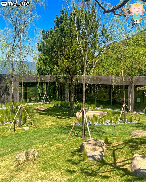 양산핫플 양산에 새로 생긴 피톤치드 대형 브런치카페🌳 초록초록 청량미 넘치는 신상 떴다구 넓은 Facebook