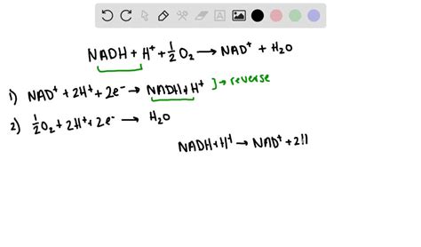 SOLVED:Calculate E^∘ for the following reaction: NADH+H^++(1)/(2)O2→NAD ...