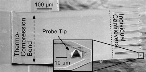 fig a1 2 scanning electron micrograph of a microfabricated thermal