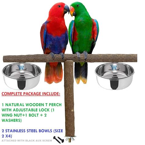 Zymal Store Natural Wooden T Shape Perch With 2 Attached Stain Less Steel Bowls Parrot T Perch