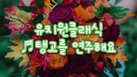 유치원음악회 어린이집음악회 클래식공연 찾아가는 연주회 비브라토뮤직 Youtube