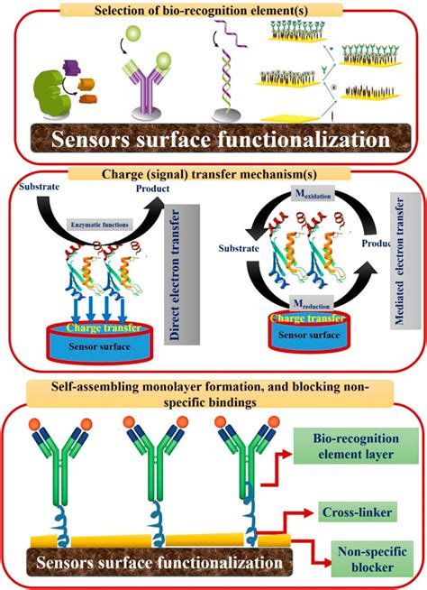 Frontiers Advances In Nanocomposites Based Electrochemical Biosensors For The Early Diagnosis