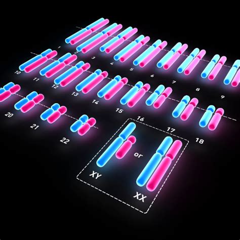 Oncogenic Mutational Processes Differ Between Sexes