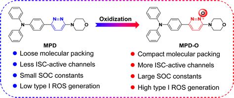 Oxidization Enhances Type I Ros Generation Of Aie Active Zwitterionic