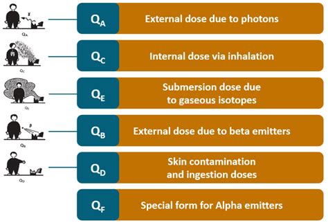 Description Of Q Values Scenario Download Scientific Diagram