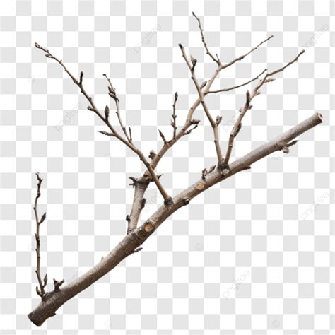 자연스러운 나뭇가지 질감 자연스러운 나뭇가지 질감 촌사람 같은 소박한 나뭇가지 배경 Png 일러스트 및 이미지 에 대한 무료 다운로드 Pngtree