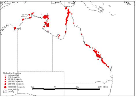 4 Distribution Of Flatback Turtle Natator Depressus Nesting In Download Scientific Diagram