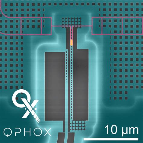 News Quantum Delta Nl