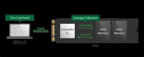 The Role Of Trim In Ssds Performance Optimization And Data Recovery