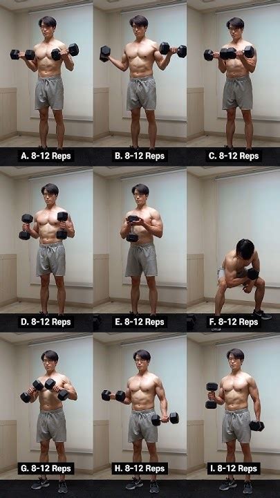 팔 근육 키우는 덤벨 이두운동 모음 Shorts Youtube