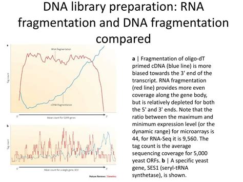 PPT RNA Seq Library Prep Introduction PowerPoint Presentation Free Download ID 1143839