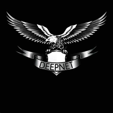 Solocybertech Install Cam Hacker They Give You A Links Just Copy And Paste In Chromebrowser