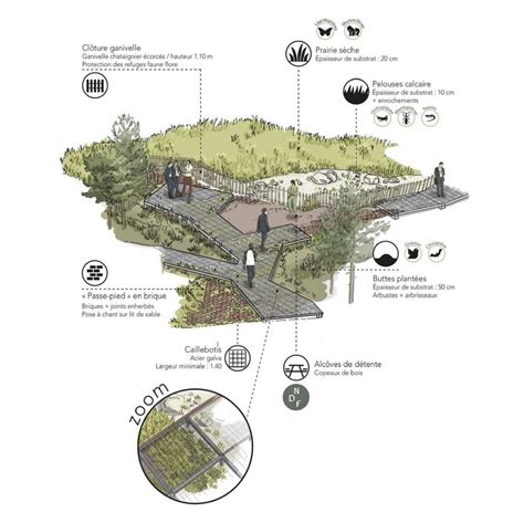 Landscape Architecture Section Landscape Plane Architecture Site Plan